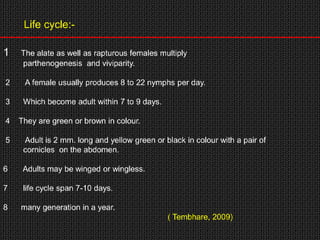 Integrated Pest Management on Okra (Abelmoschus esculentus L. Moench ...