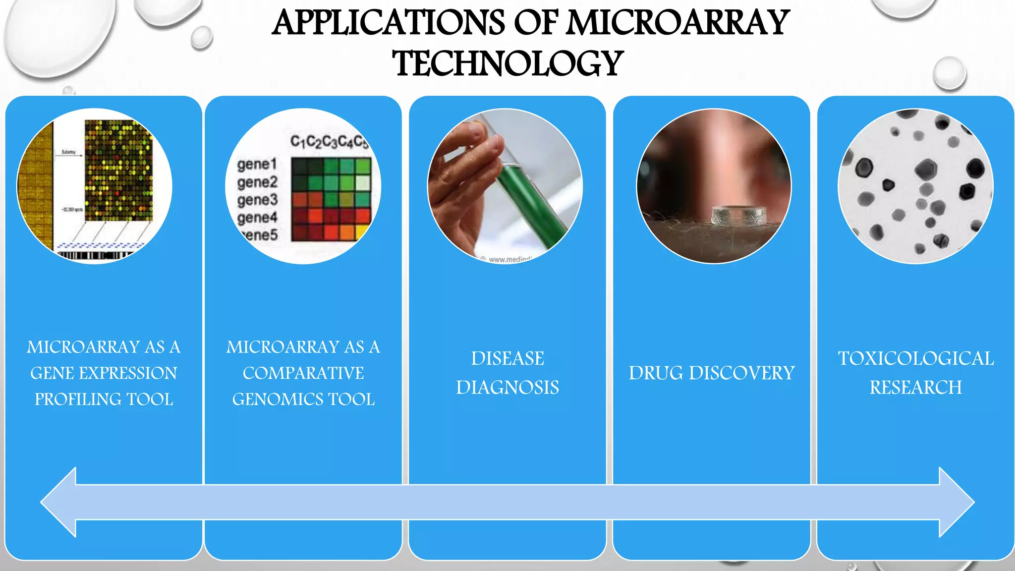 Applications of Genomic and Proteomic Tools | PPTX