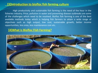 Bio Floc Fish Farming. | PDF