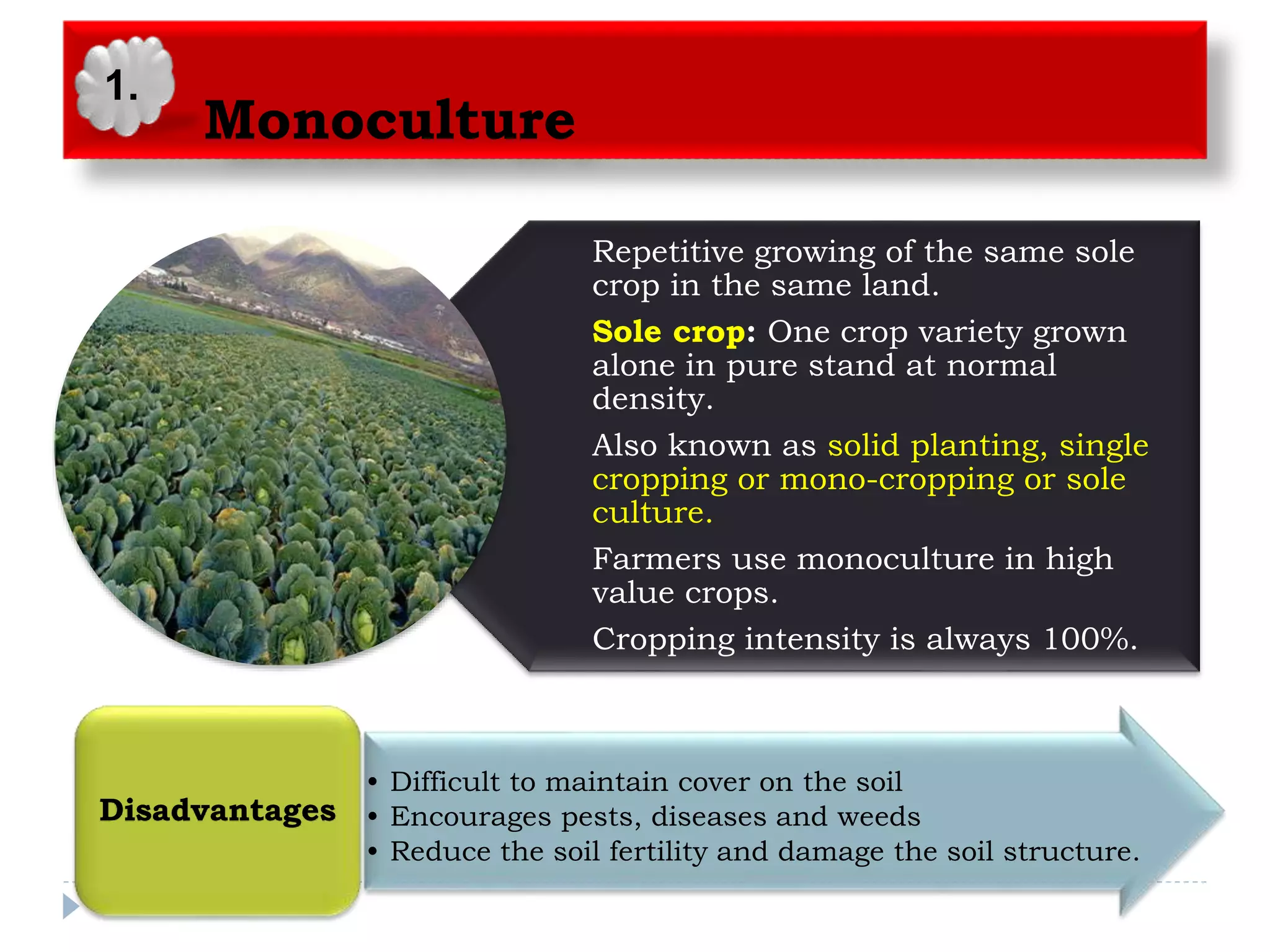 Role of cropping system in sustainable vegetable production | PPTX