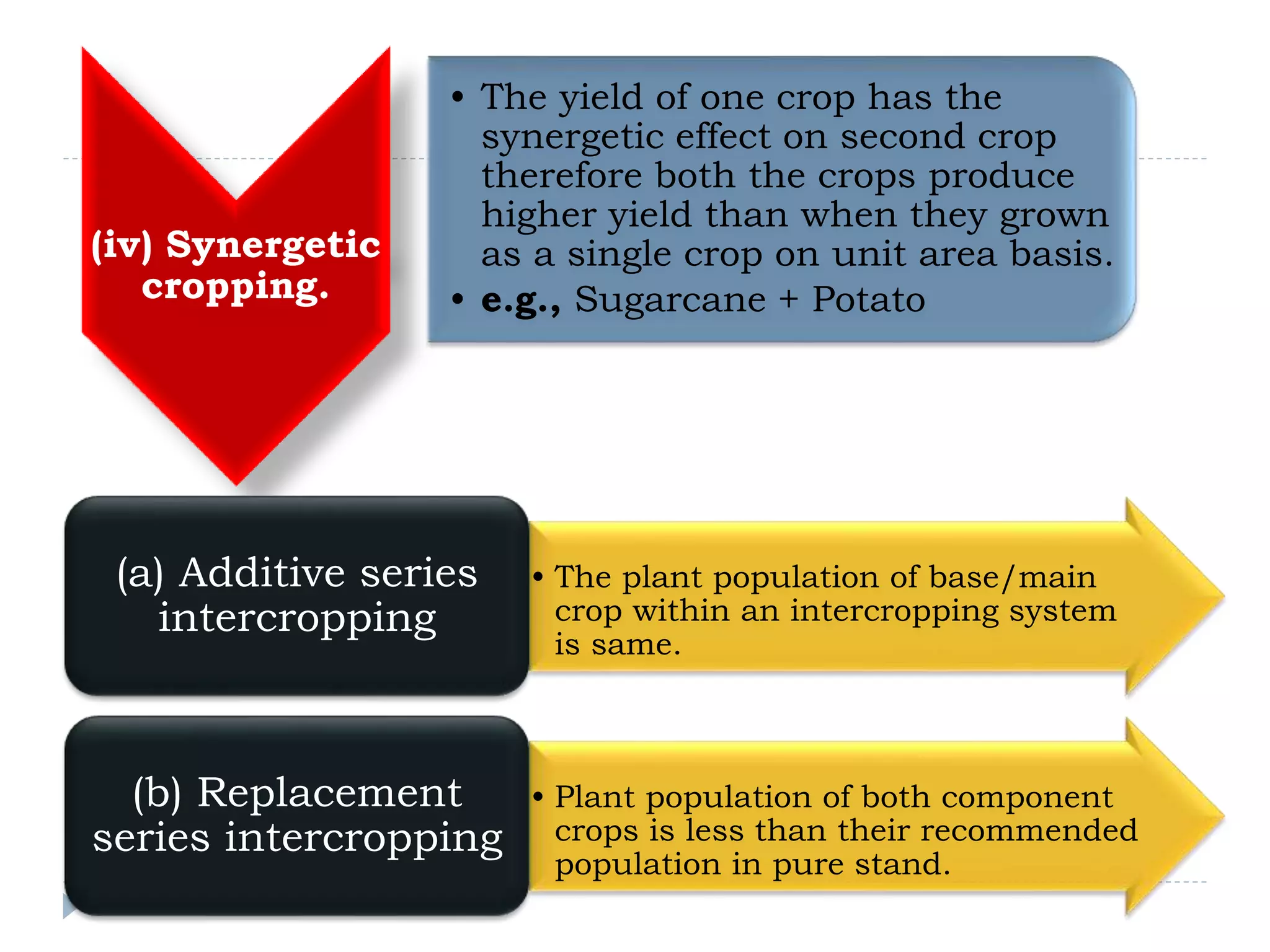 Role of cropping system in sustainable vegetable production | PPTX