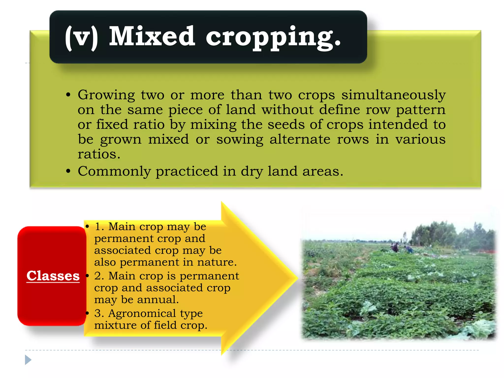 Role of cropping system in sustainable vegetable production | PPTX