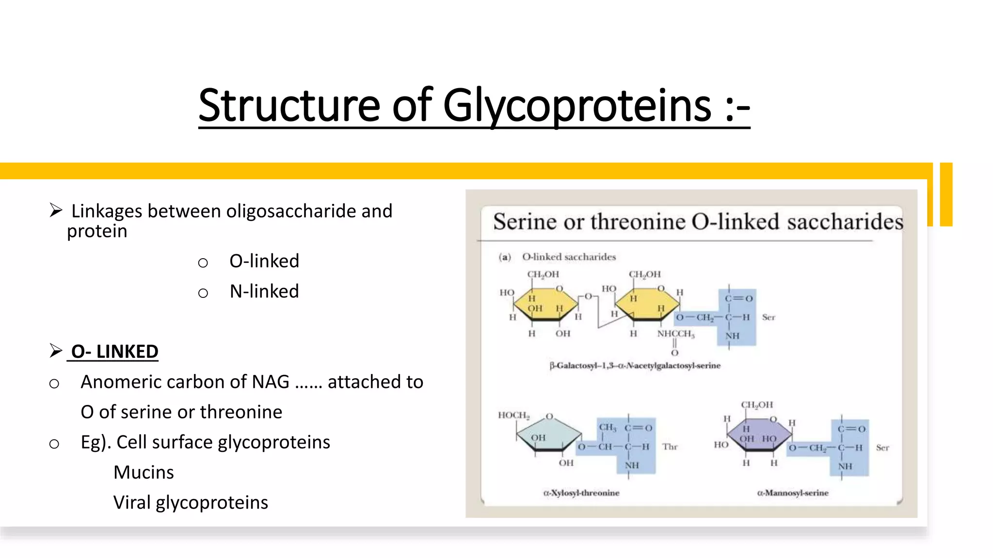 glycoprotein.pptx
