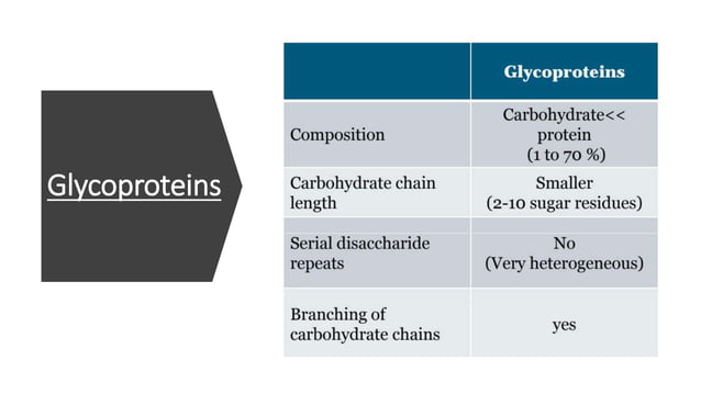glycoprotein.pptx