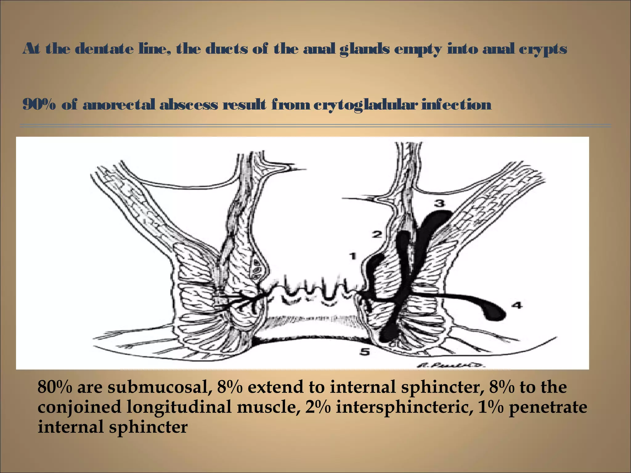 Rakesh benign-anorectal- | PPT