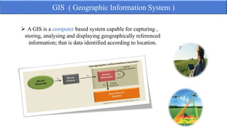remote sensing and GIS -role in pest managment | PPTX