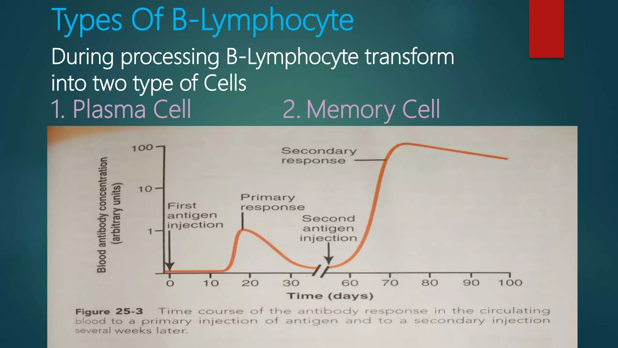 IMMUNITY TYPE (ACQUIRED IMMUNITY) | PPTX