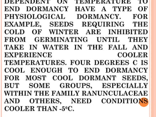 seed physiology | PPT