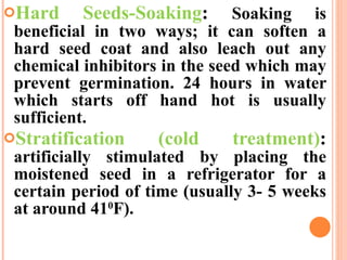 seed physiology | PPT