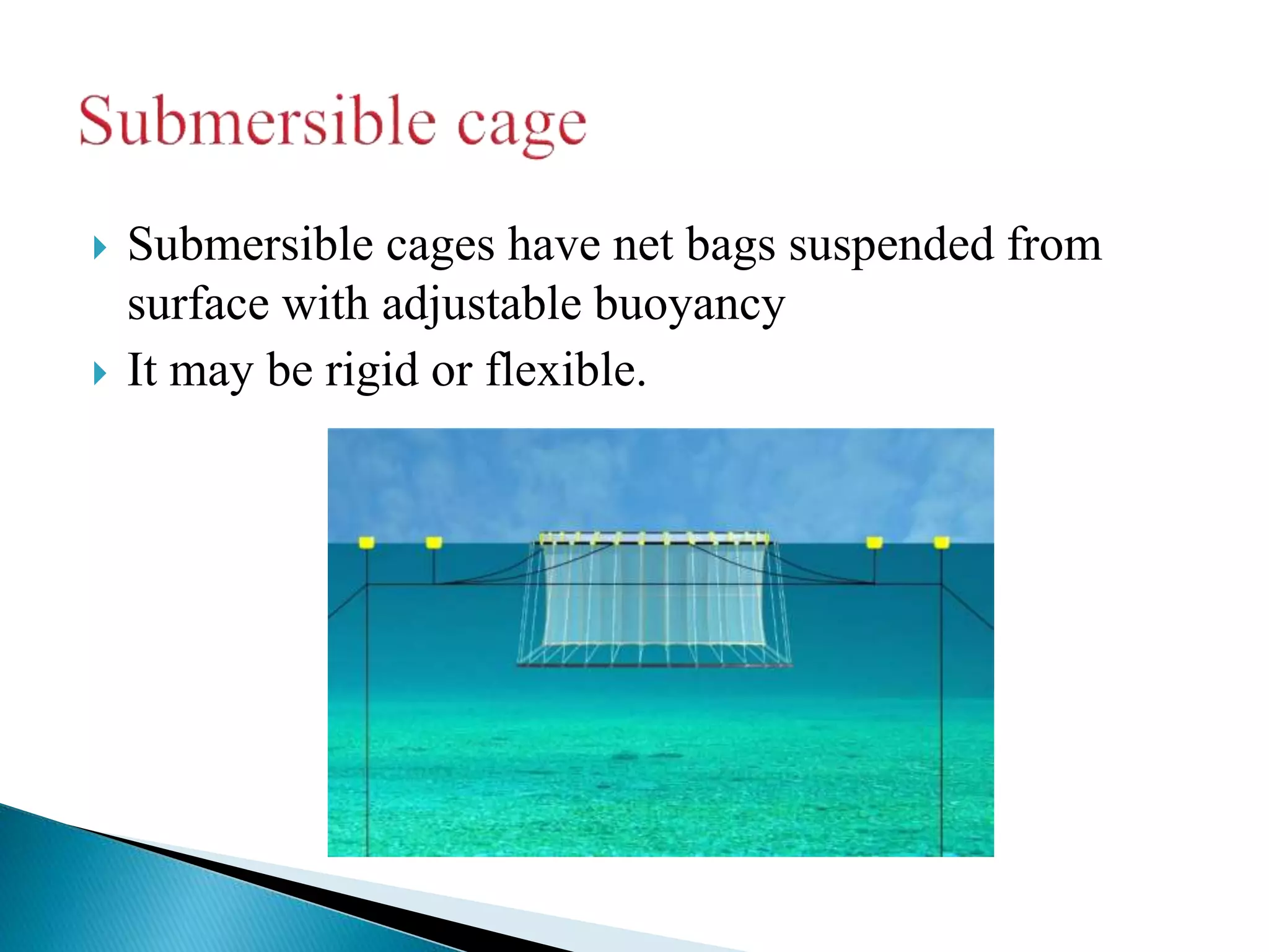 overview of cage culture ppt. | PPTX