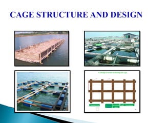 overview of cage culture ppt. | PPTX