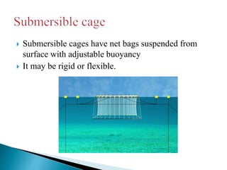 overview of cage culture ppt. | PPTX