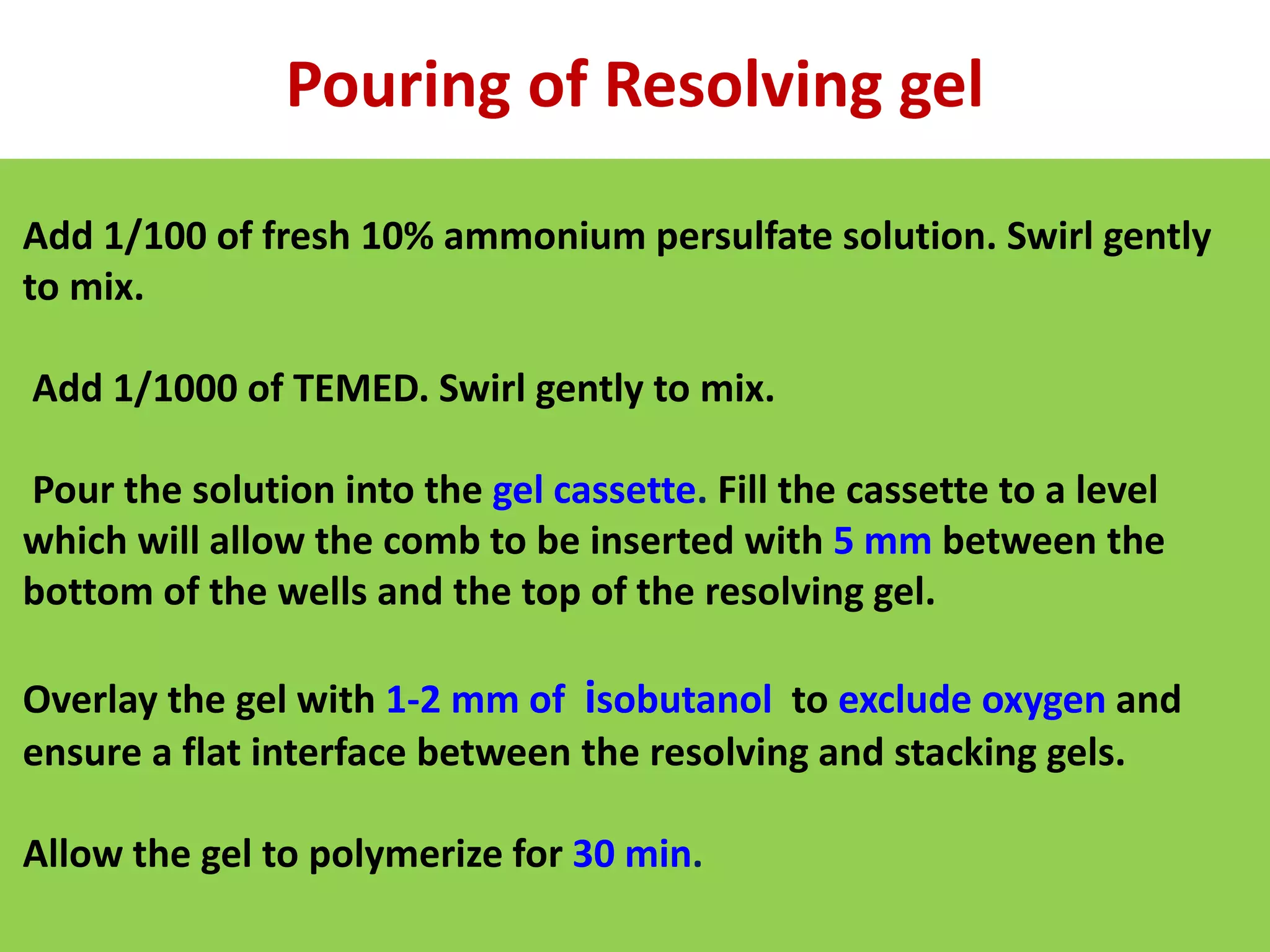 western blot analysis for protein | PPTX
