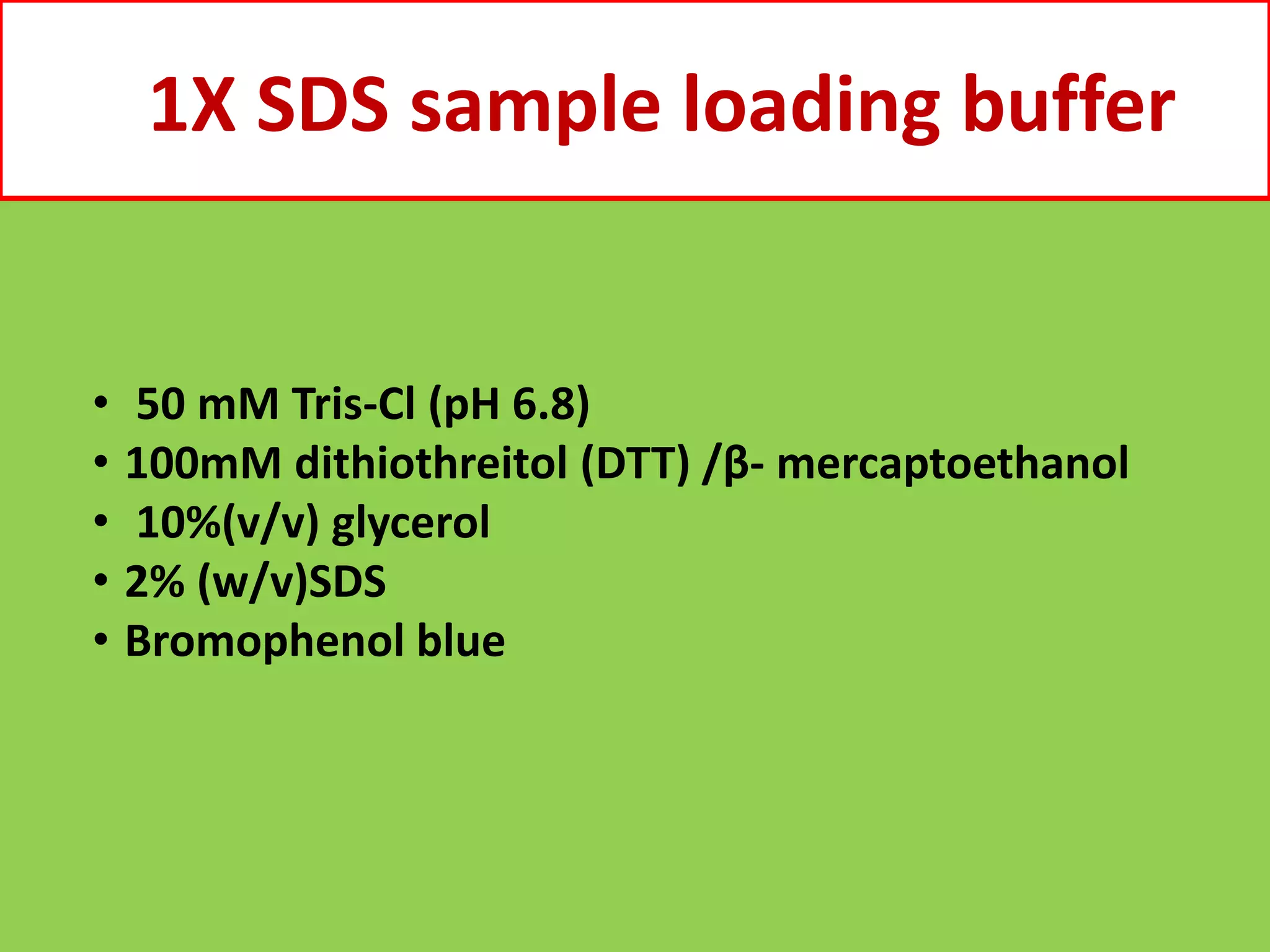 western blot analysis for protein | PPTX