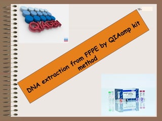 study of EGFR protein expression and mutation | PPT