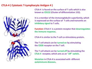 T CELL ACTIVATION AND IT'S TERMINATION | PPTX