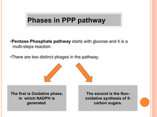 Pentose Phosphate Pathway and its application | PPTX