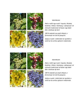 Raki rrushi | PDF