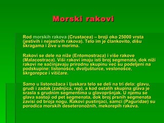 Rakovi- Vuk Popović- Marija Cvetković | PPT