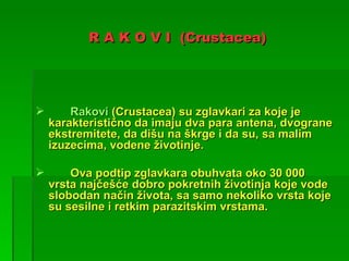 Rakovi- Vuk Popović- Marija Cvetković | PPT