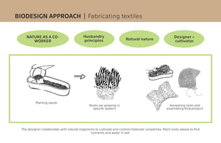 AMBER GRAIN EMBROIDERY | Growing folklore elements | Barbara Rakovska | PPT