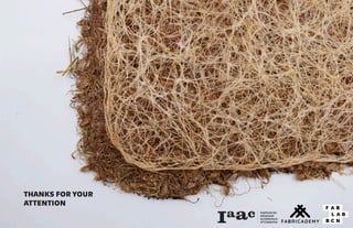 AMBER GRAIN EMBROIDERY | Growing folklore elements | Barbara Rakovska | PPT