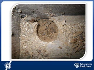 Raksystems Anticimex: esimerkkejä huonosta talonpidosta | PPTX