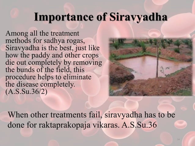 Rakta mokshana - Siravyadha | PPTX | Blood Disorders | Diseases and ...