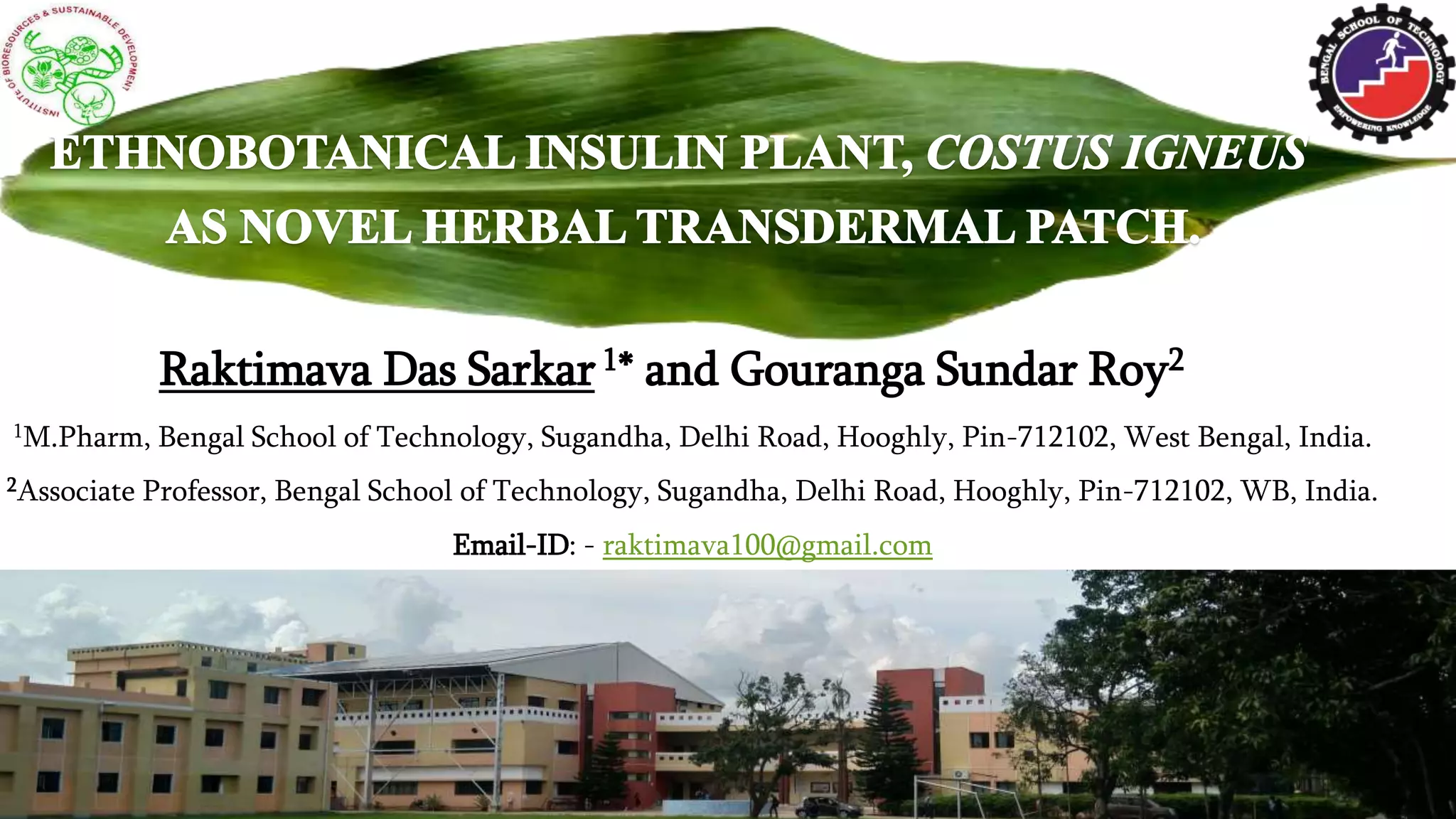 Ethnobotanical Insulin Plant as a novel herbal Transdermal Patch | PPT