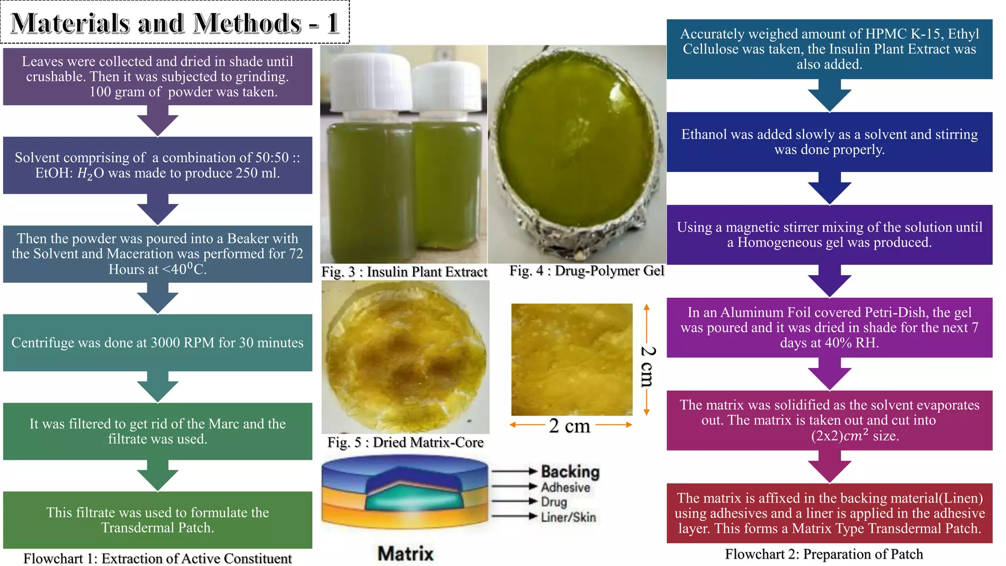 Ethnobotanical Insulin Plant as a novel herbal Transdermal Patch | PPTX