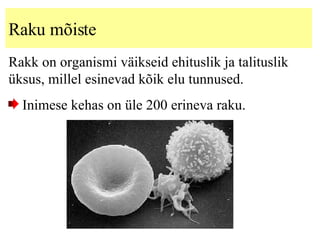 Rakud ja koed | PPT