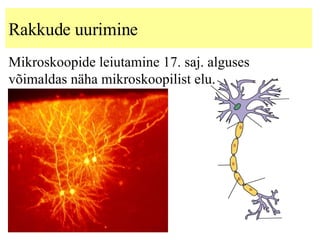 Rakud ja koed | PPT