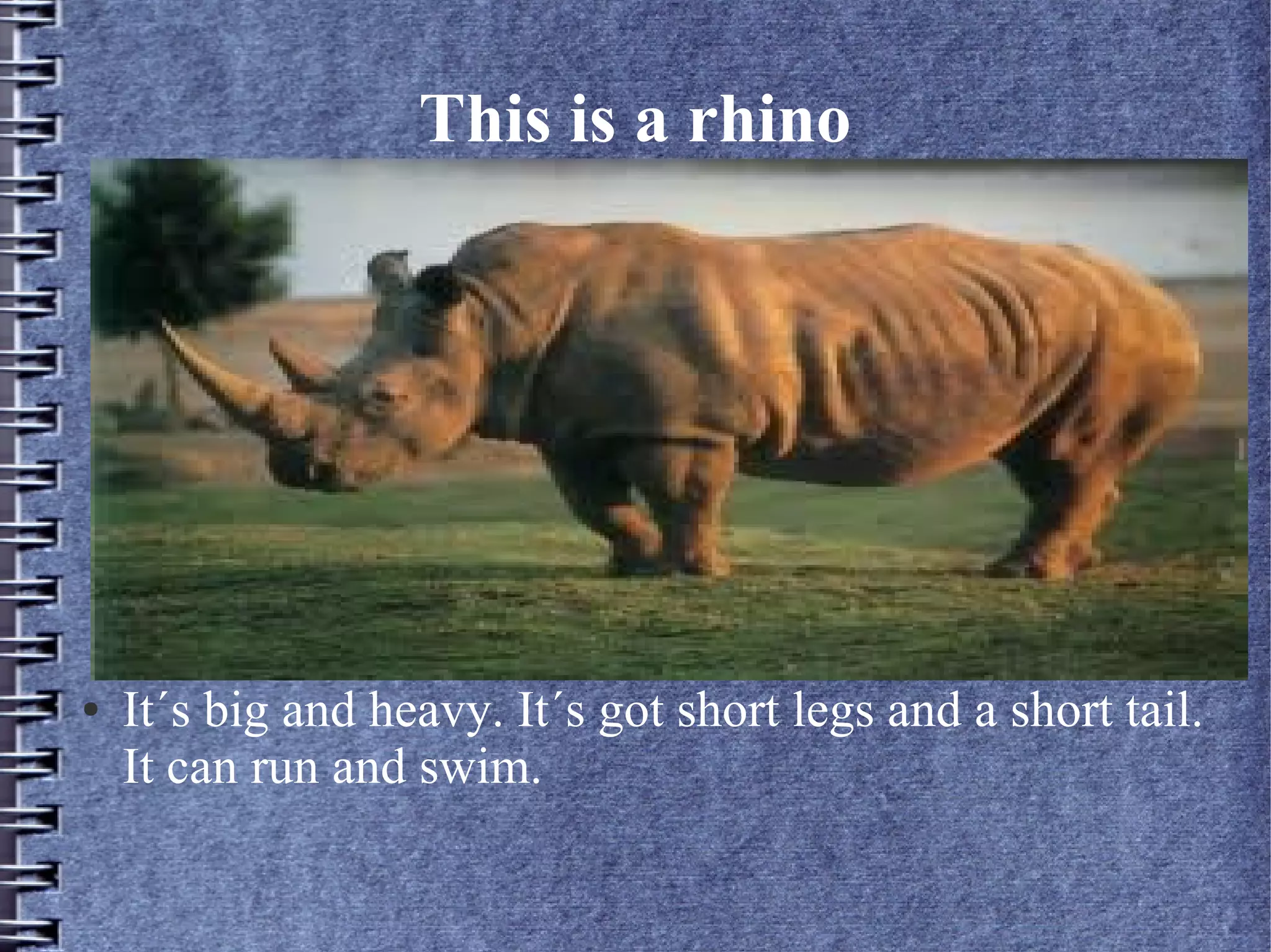 Raúl's animals presentation | PPT