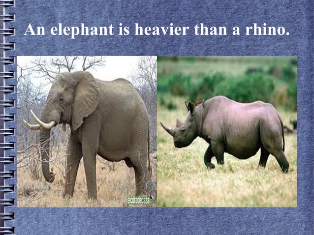 Raúl's animals presentation | ODP