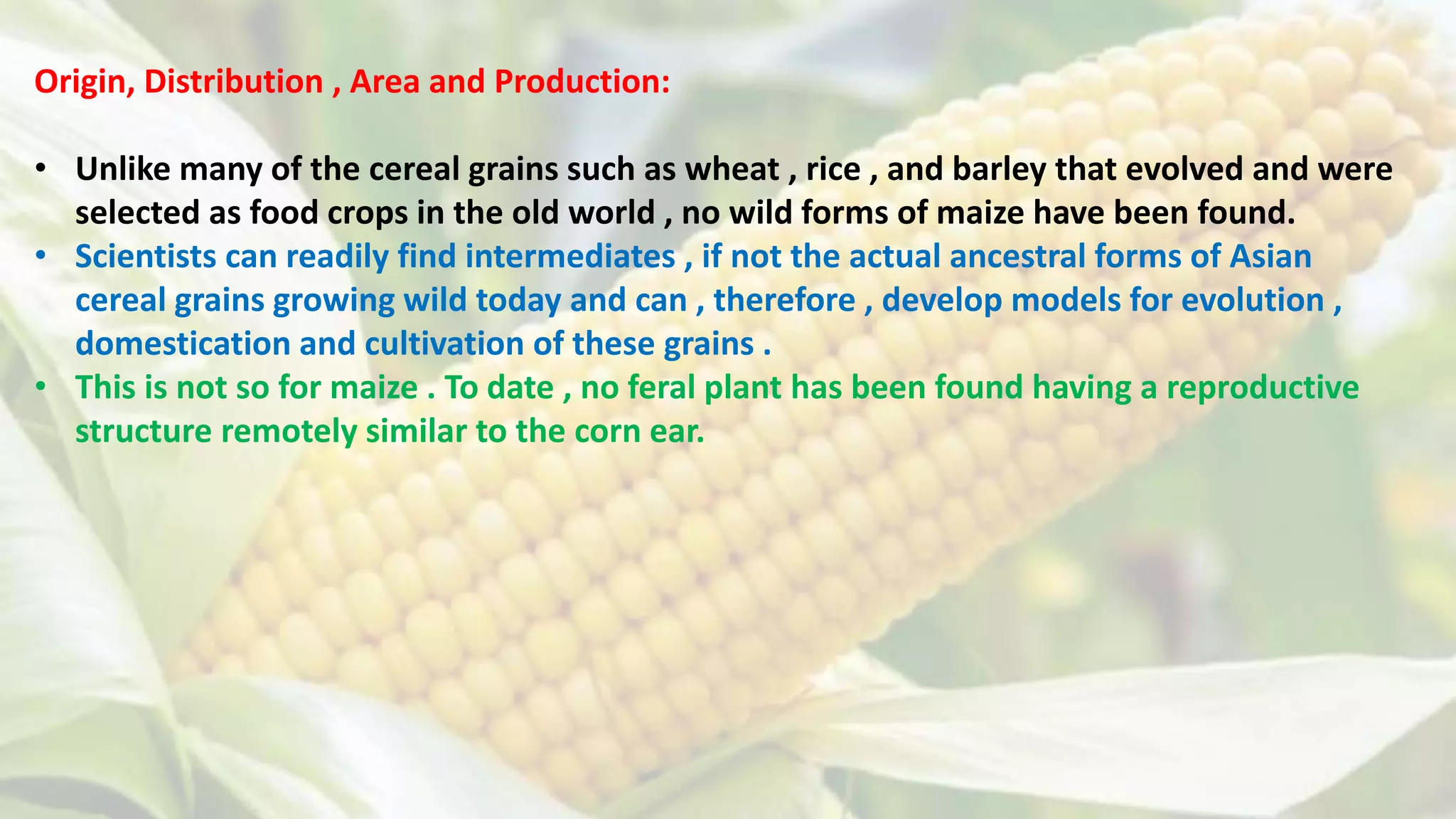 maize crop production | PPTX