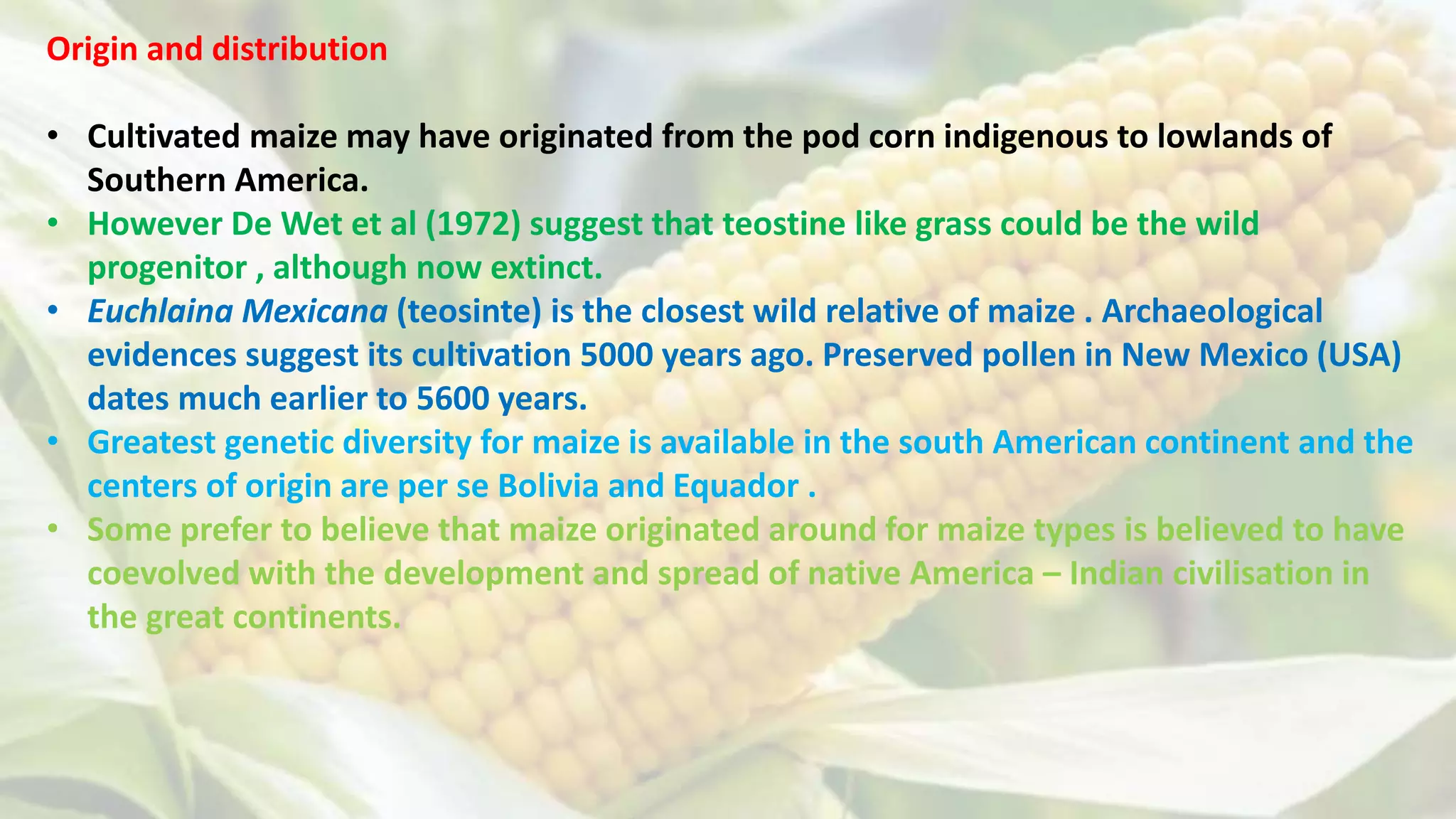maize crop production | PPTX