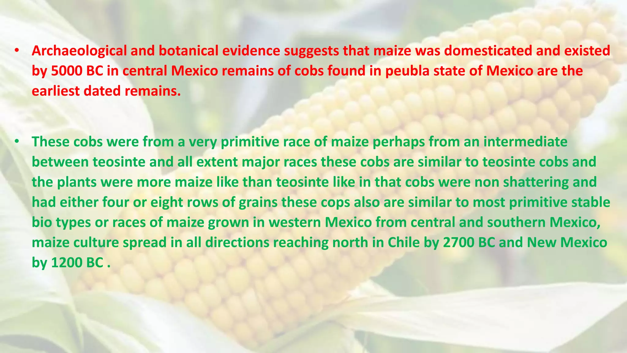 maize crop production | PPTX