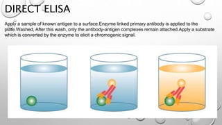 ELISA USED TO DIAGNOS THE DISEASES .pptx