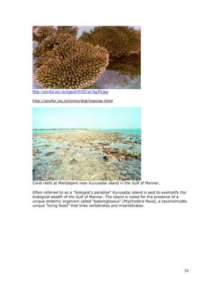 Ramar Palam Clear Picture