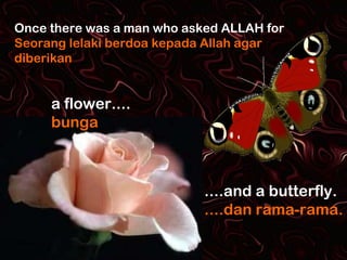 Rama-rama dan Bunga | PPS