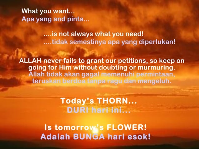 Rama-rama dan Bunga | PPT