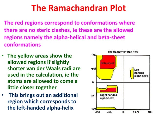 Ramachandran plot | PPTX | Chemistry | Science