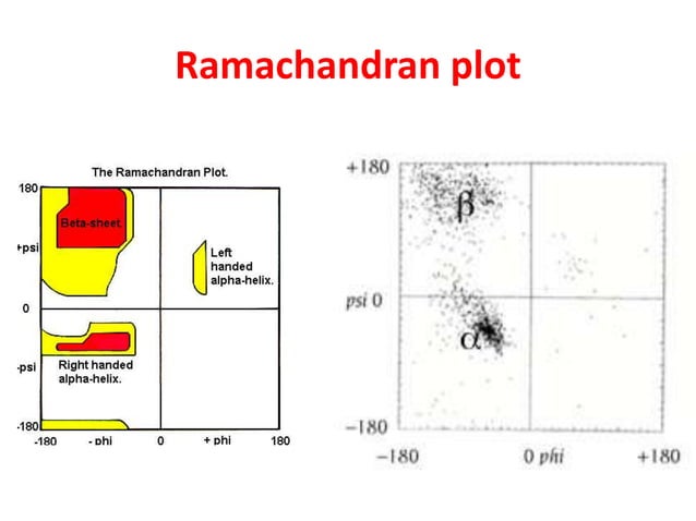 Ramachandran plot | PPTX | Chemistry | Science