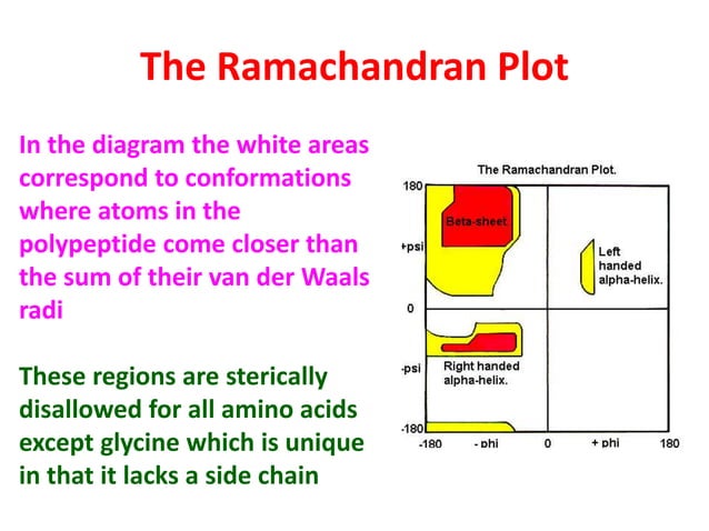 Ramachandran plot | PPTX | Chemistry | Science