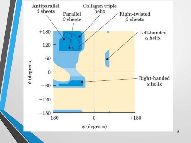Ramachandran plot