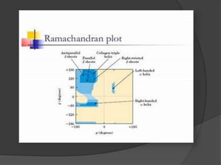 Ramachandran plot- biochemistry | PPTX