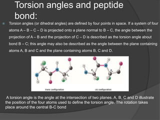 Ramachandran plot- biochemistry | PPTX