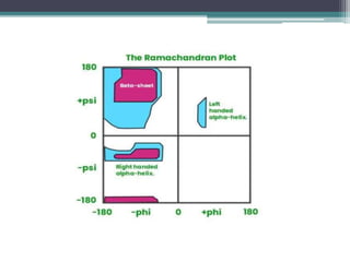Ramachandran Plot | PPTX | Chemistry | Science