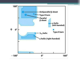 Ramachandran Plot | PPTX | Chemistry | Science