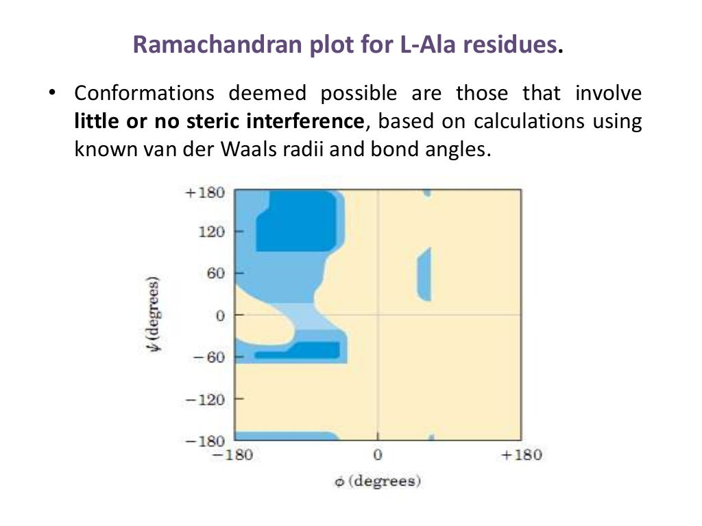 Ramachandran Plot